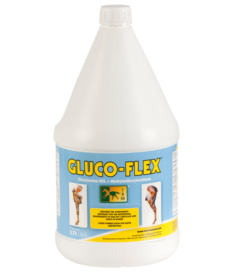 Maintenance Mobility Supplement For Horses