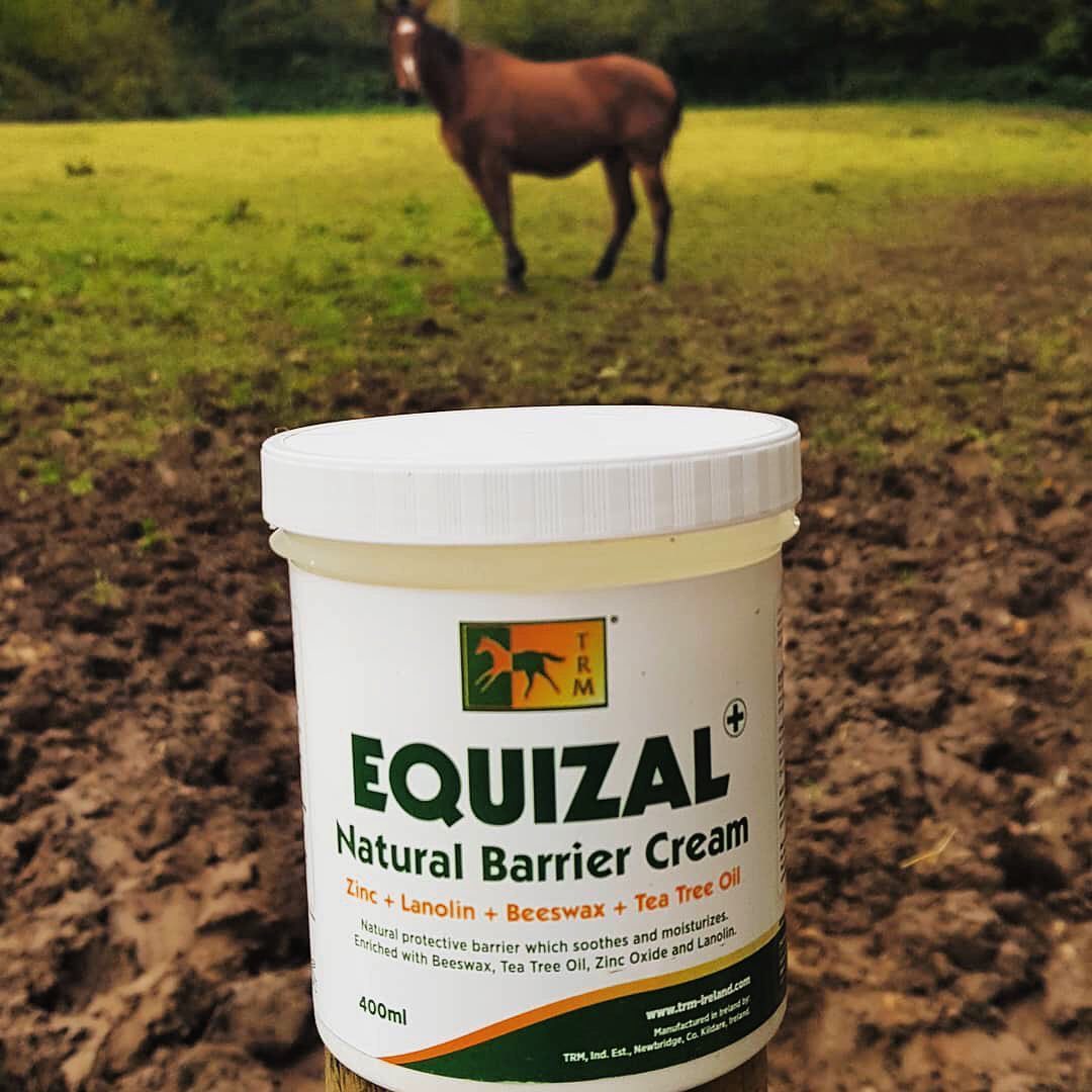 Mud Rash | Pastern Dermatitis