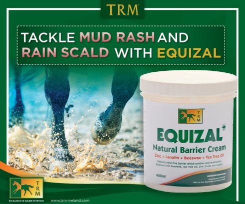 Mud Rash | Pastern Dermatitis